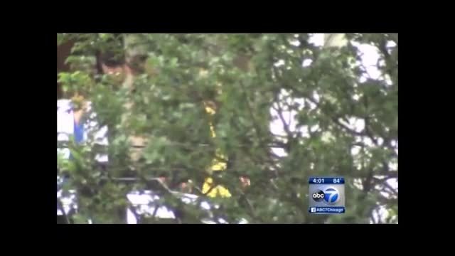 Chicago Reporter: ‘Shrill Hillary Clinton’ Kept Her Voice Down During ...