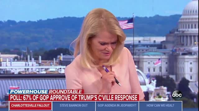 Soltis Anderson: Trump’s Leadership Has Brought to Life Views in the ...