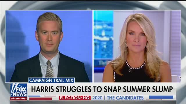 The Daily Briefing with Dana Perino: Andrew Yang Crowd Surfing at ...