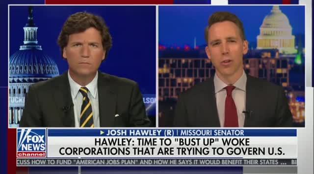 Hawley: Monopolies and Liberty Are Not Compatible, Corporations Shouldn ...