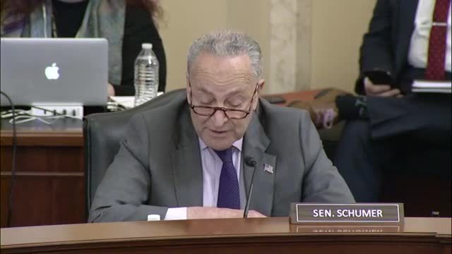 Sen. Schumer: ‘Liz Cheney Spoke Truth to Power, and for that She’s ...